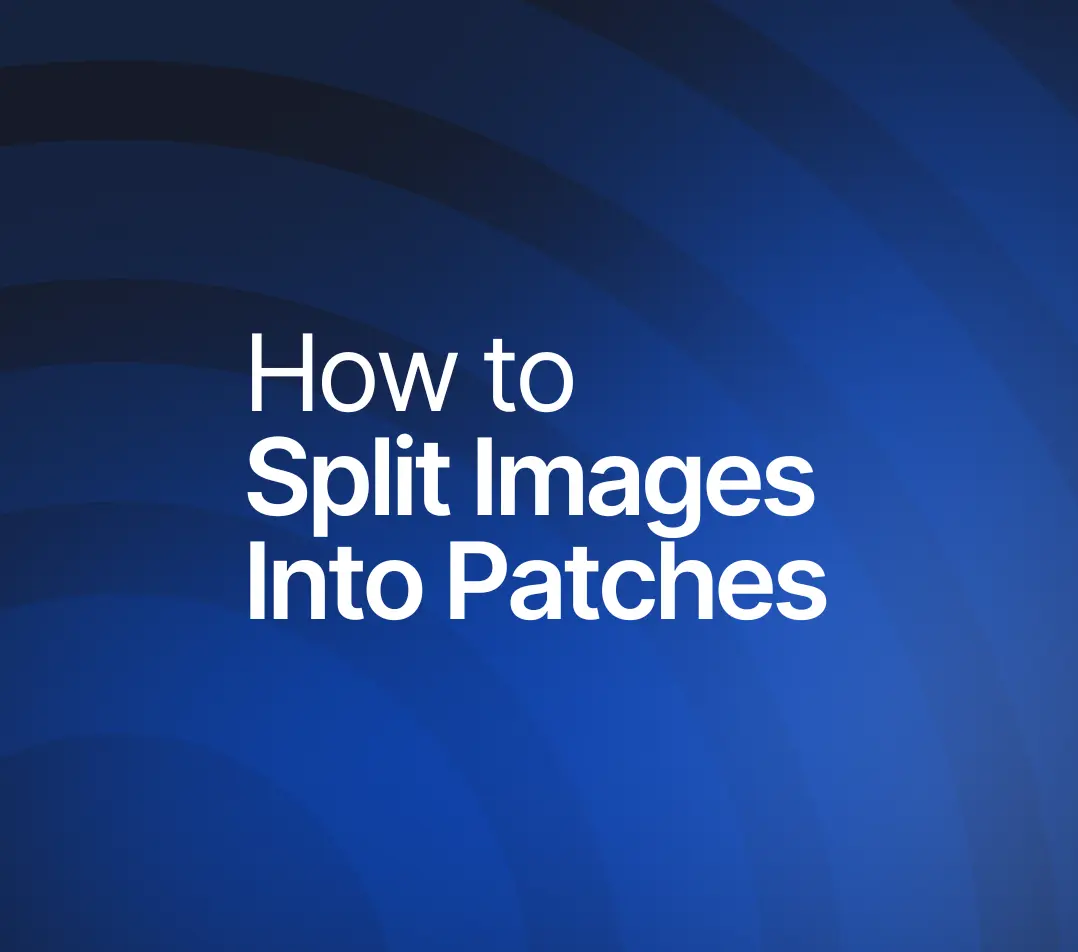 How to Use V7 Workflows to Split Large Images Into Patches